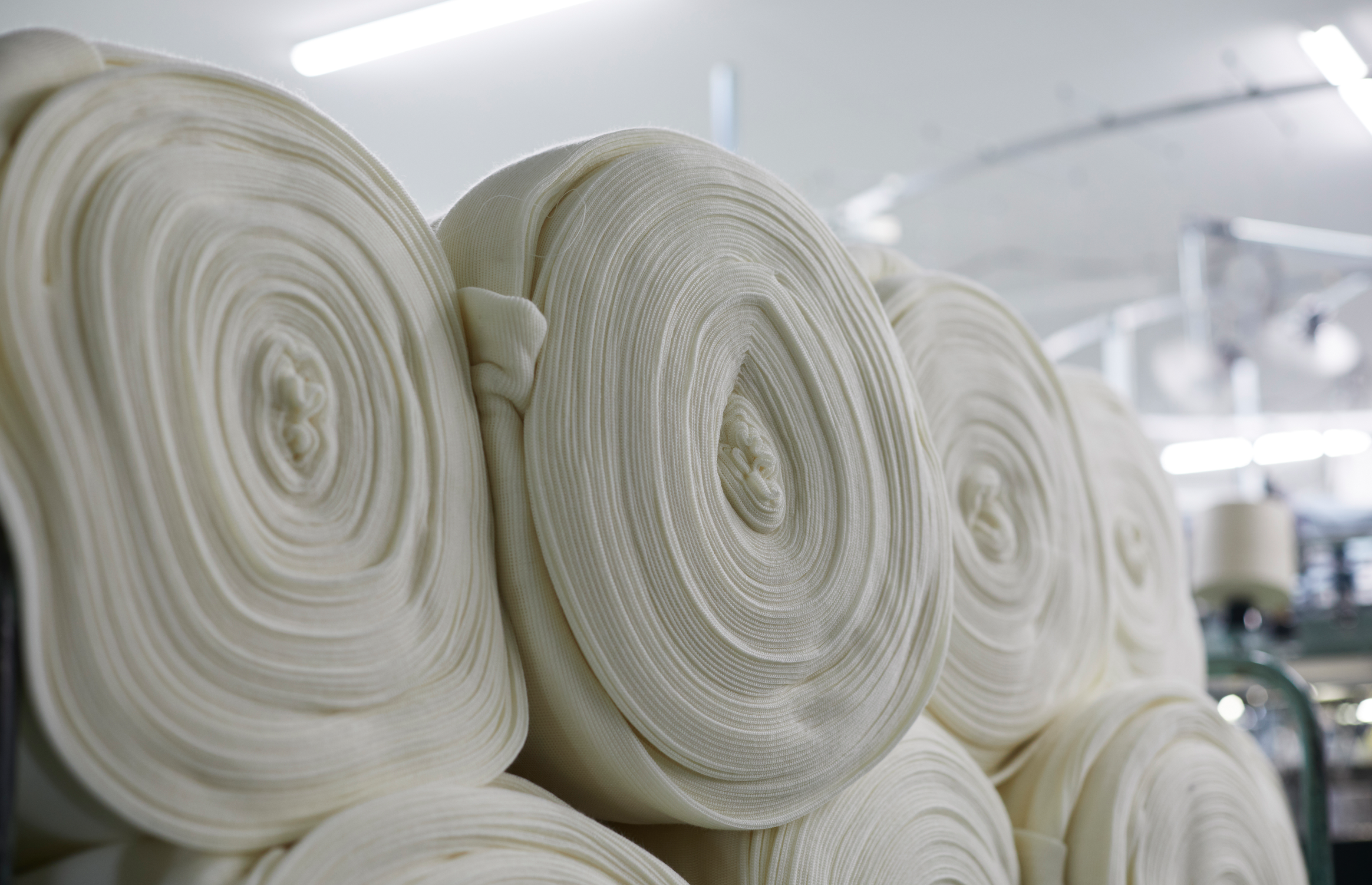 Why do we choose to use wool? – Modibodi US